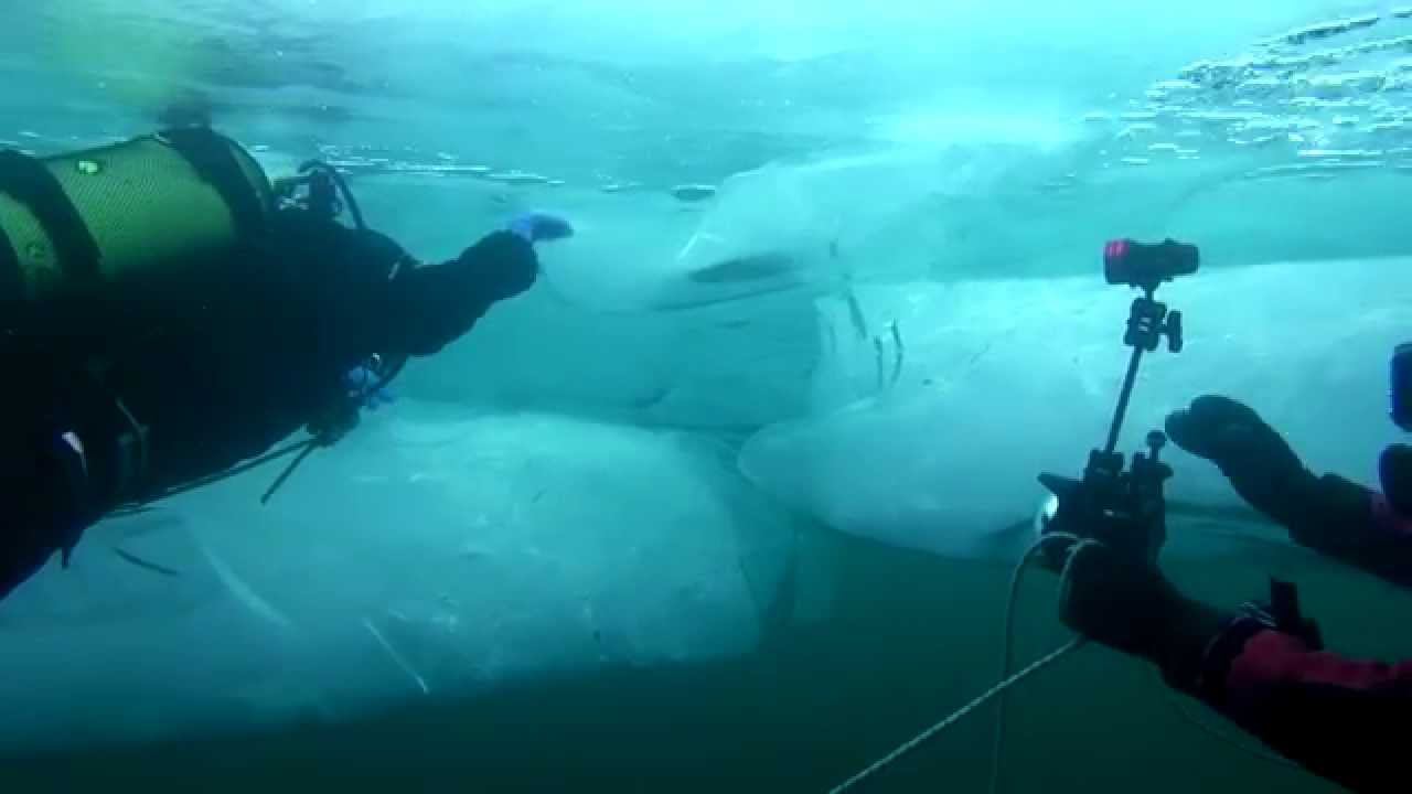 Baikal Ice Diving near Olkhon Island