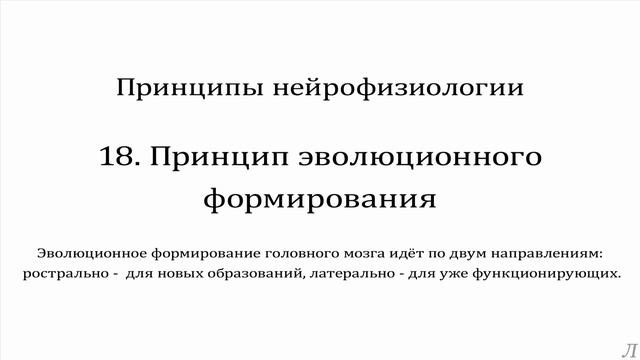 9.18 Принципы нейрофизиологии. Принцип эволюционного формирования