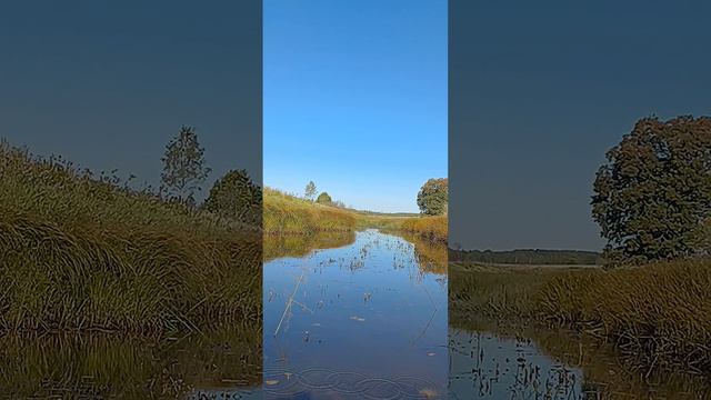 Зинаида смотрит