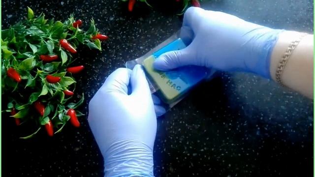 Блиц- заливка формы для мыла _ВДВ-3_.mp4