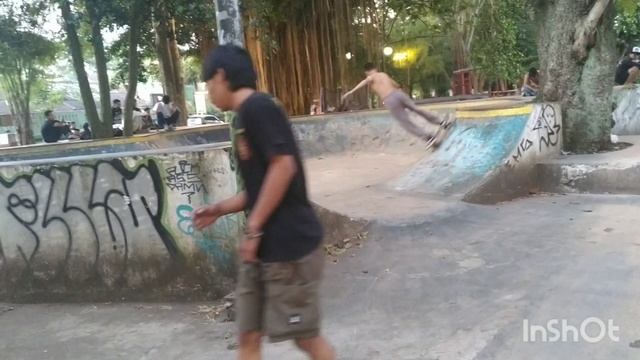 Площадка для скейтбординга в парке Картини