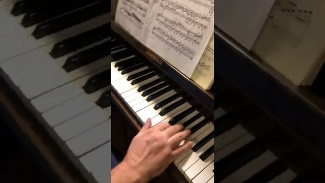 Beethoven Sonata op.13 Pathétique I- 1Соната 8 Патетическая_ пульс, артикуляция,.mp4