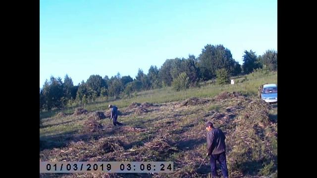 Сенокос на пасеке. Пчеловодство.