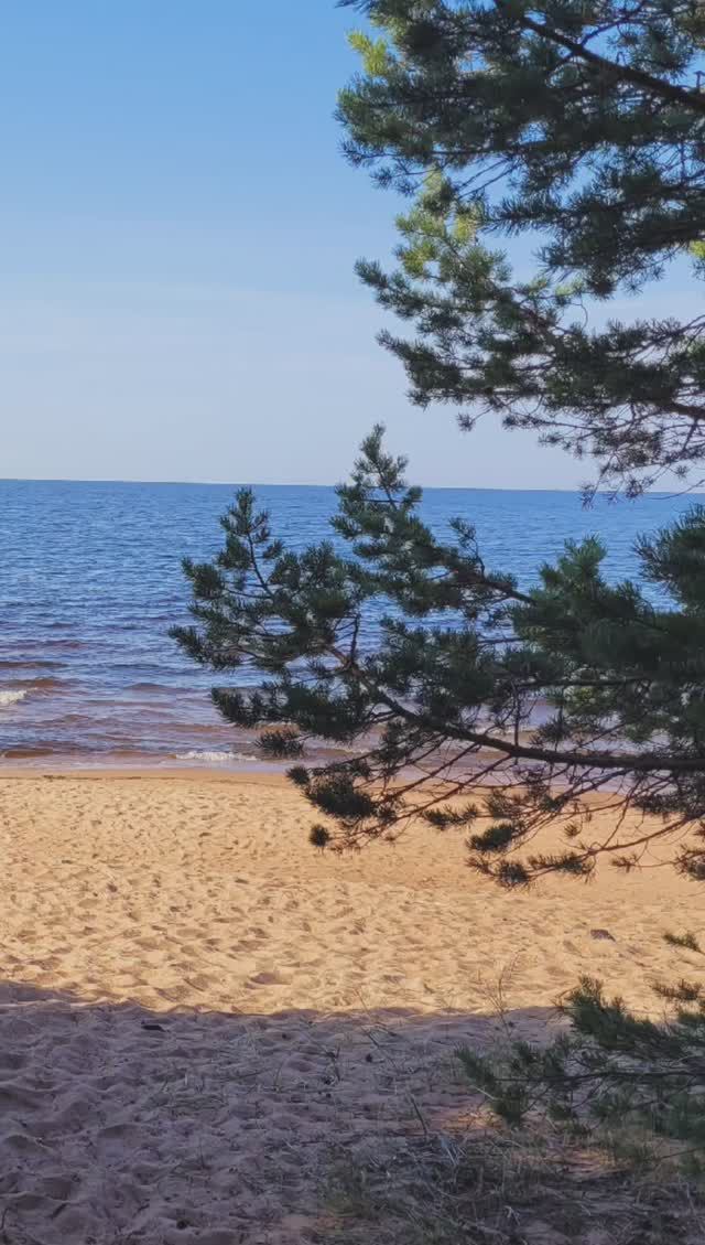 Карелия. Ладожское озеро. Видлица. Август 2023г.mp4