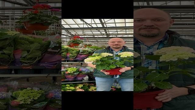 Поздравление с праздником 8марта