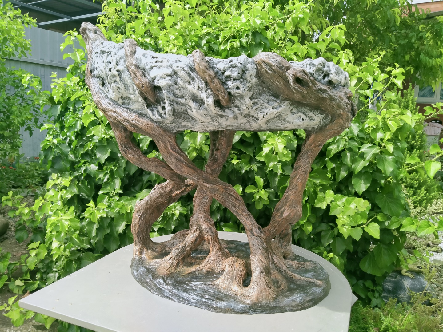 Вазон из цемента дерево в камне своими руками