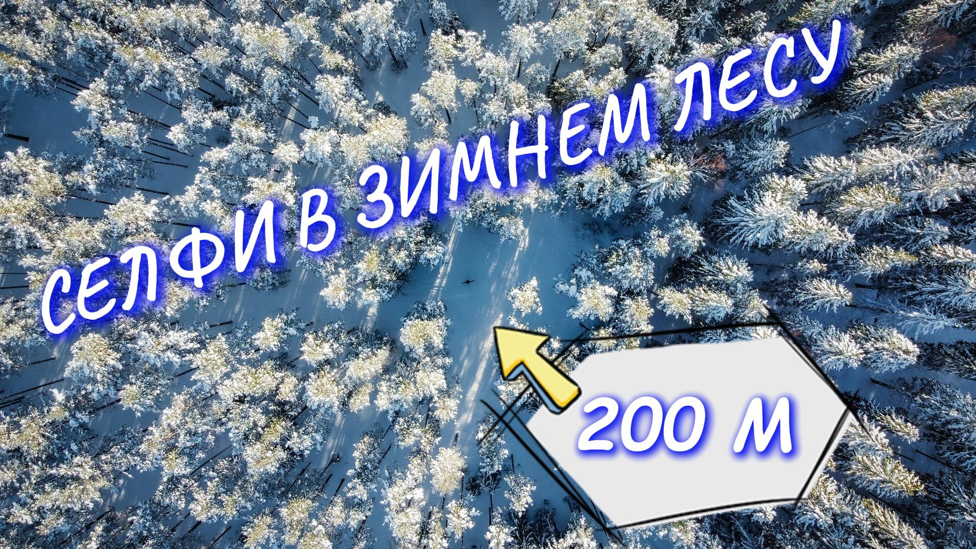 СЕЛФИ В ЗИМНЕМ ЛЕСУ