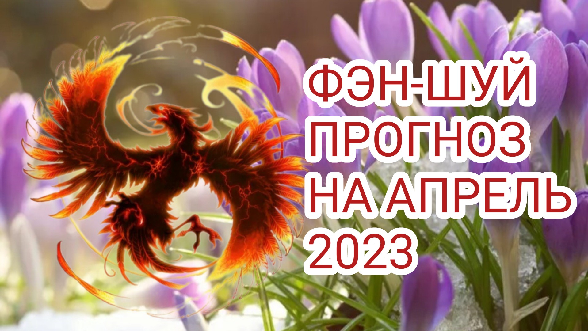 Фэн-шуй прогноз на апрель 2023 || Месяц Огненного Дракона#4