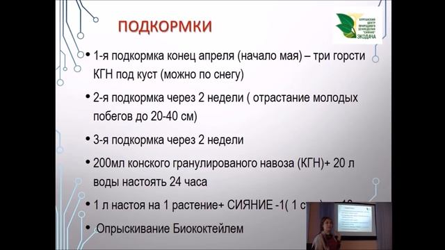 Выращивание малины