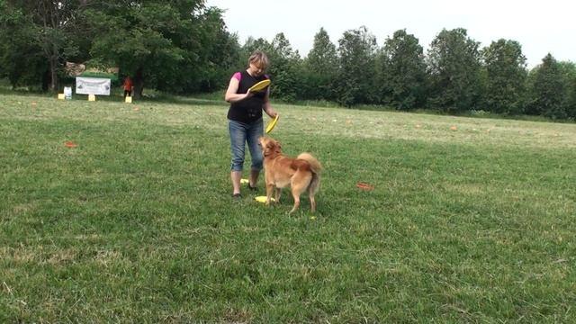 Frisbee Freestyle Юлия и Мартини.mp4