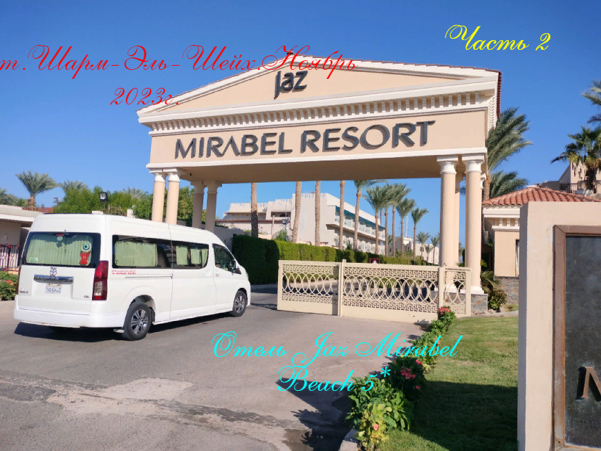 Египет.Шарм-Эль-Шейх 2023г.Отель Jaz Mirabel Beach.