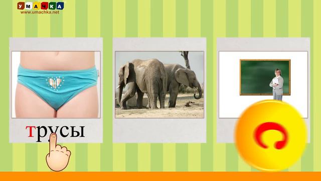 Алфавит Читать Учим с Кругляшиком Буквы и Звуки - Буква С