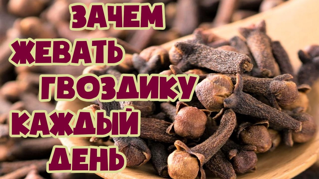 Зачем жевать гвоздику каждый день 11 аргументов