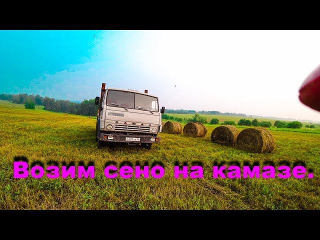 Сенокос. За сеном на камазе по грязи!