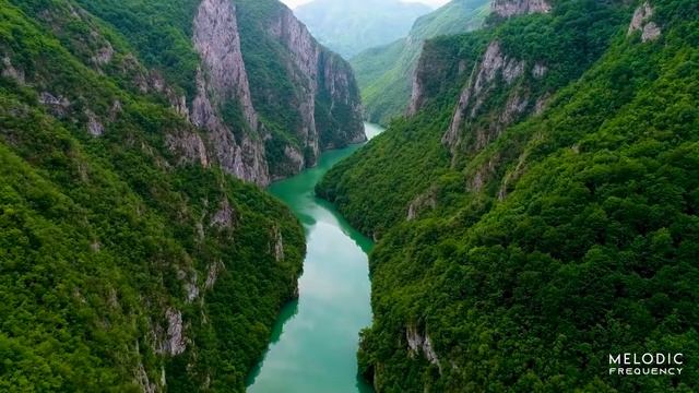 We March (Komor's Icon Of Coil Remix)