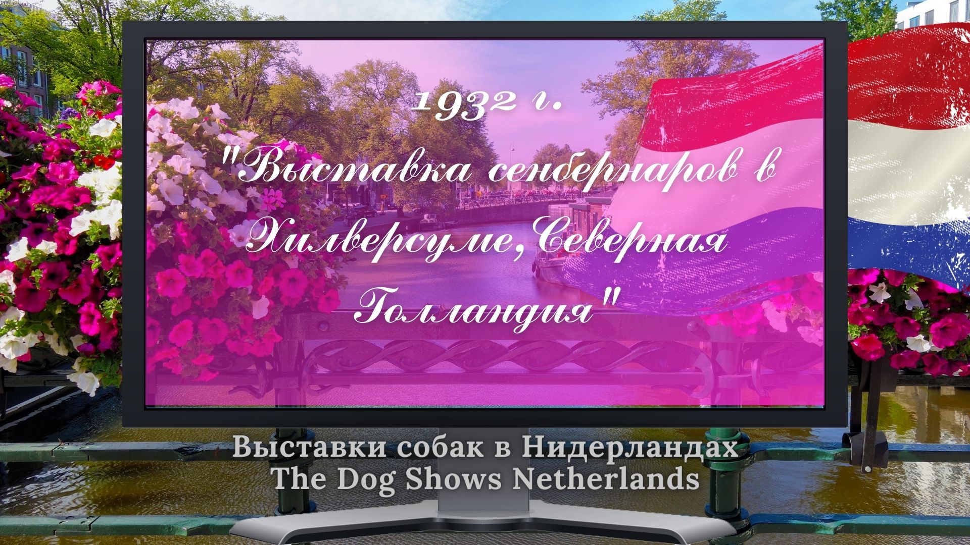 1932 г.
 "Выставка сенбернаров в Хилверсуме, Северная Голландия"