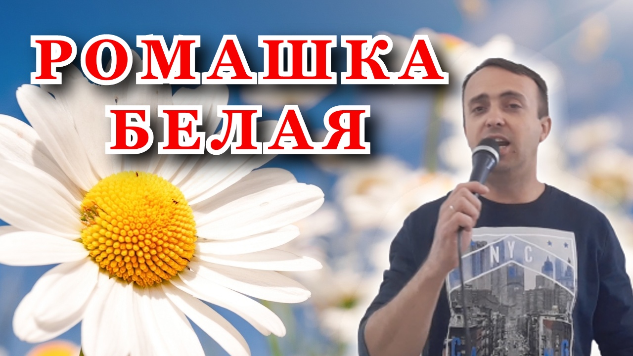 Ромашка белая - Николай Гнатюк (cover)