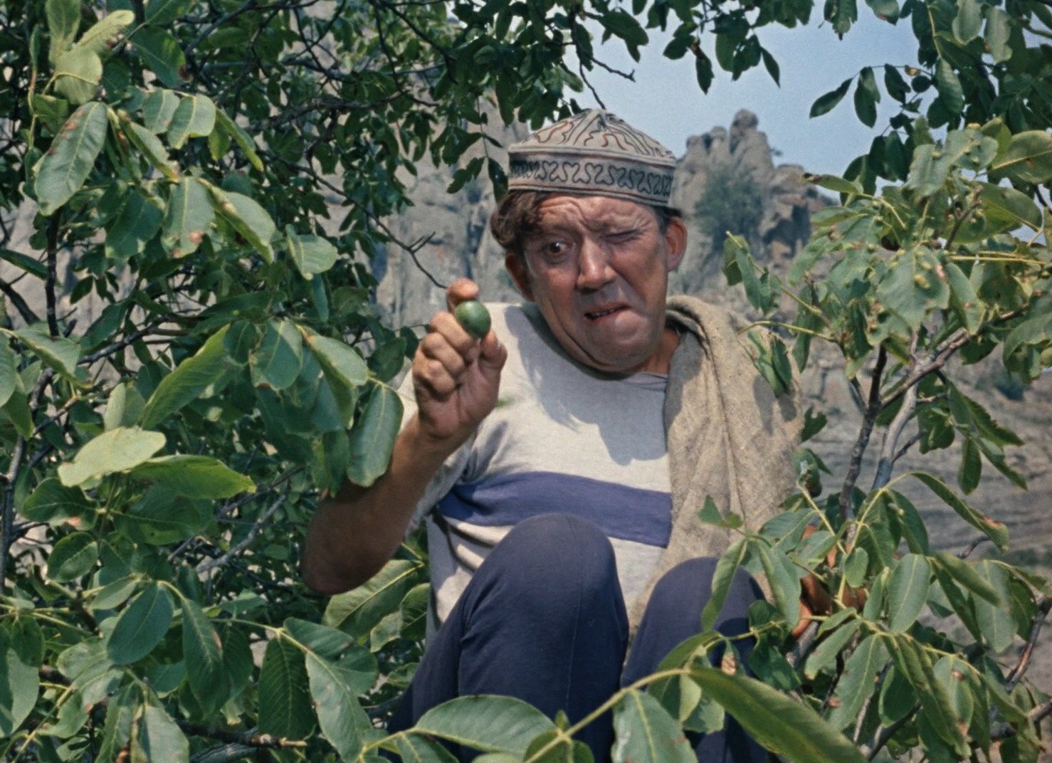 Что знали о ГРЕЦКОМ ОРЕХЕ  в Советском Союзе