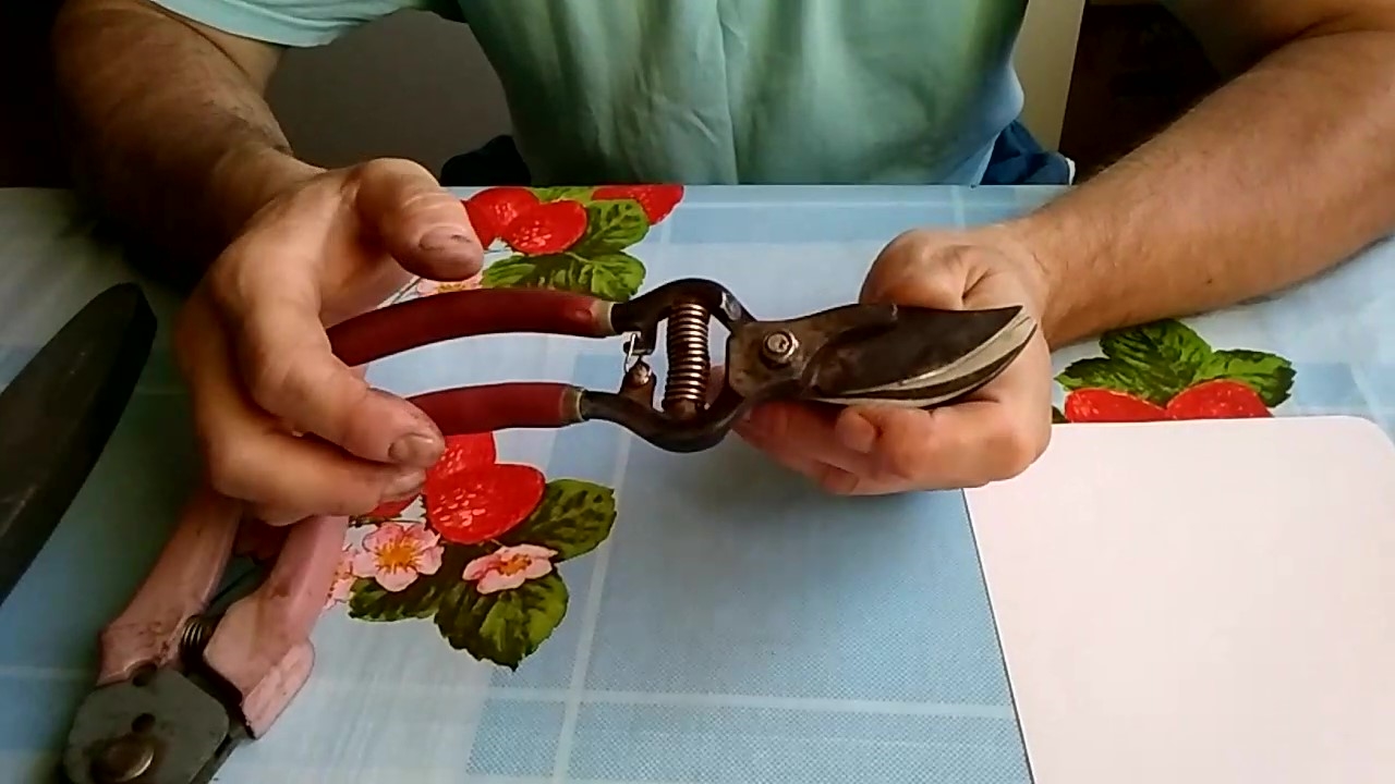 Как правильно точить секатор. Зачем регулировать зазор между ножами