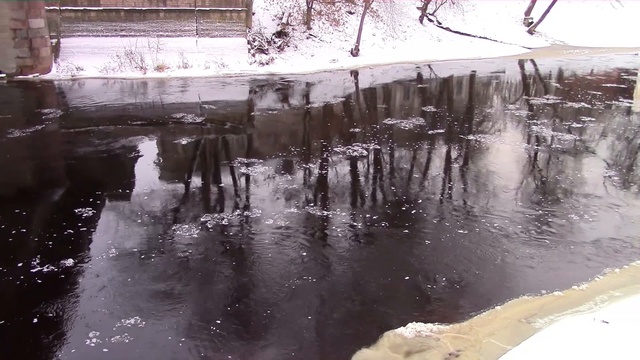 Шуга на Пскове