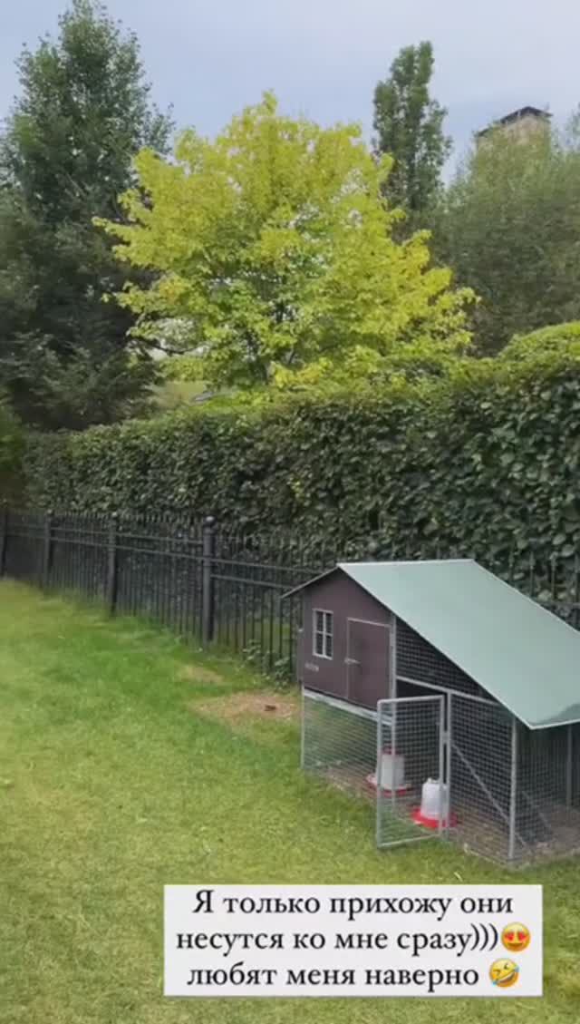 "Фазенда" для любимых курочек