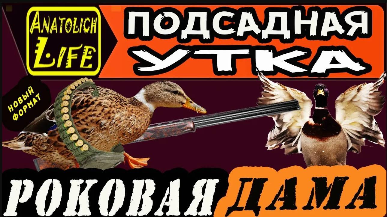 Подсадная утка. Как выбрать_ Duck decoy. How to choose_