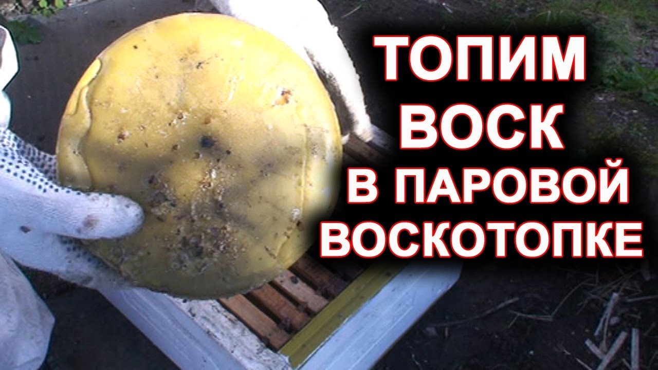 Топим воск в паровой воскотопке.