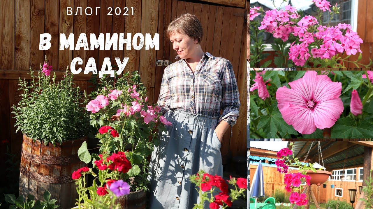 В саду у мамы в Сибири / Сад в контейнерах