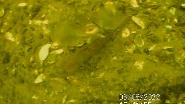 YouCut_20230205_024255354.mp4