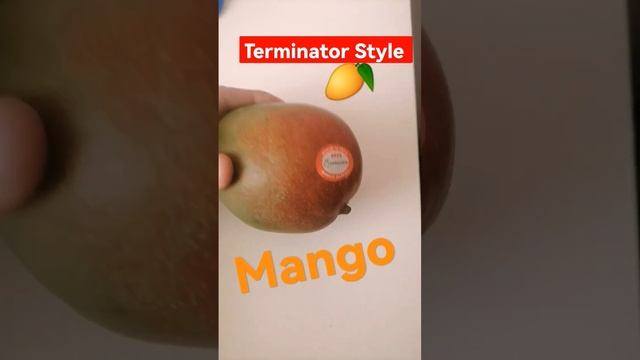 ? Mango ? #terminator