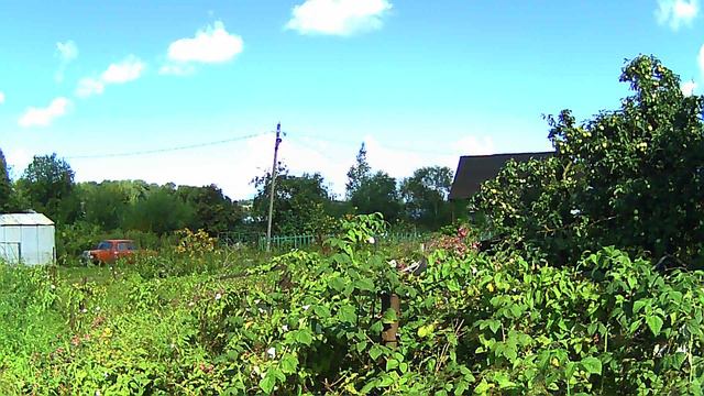 Природа вокруг нас