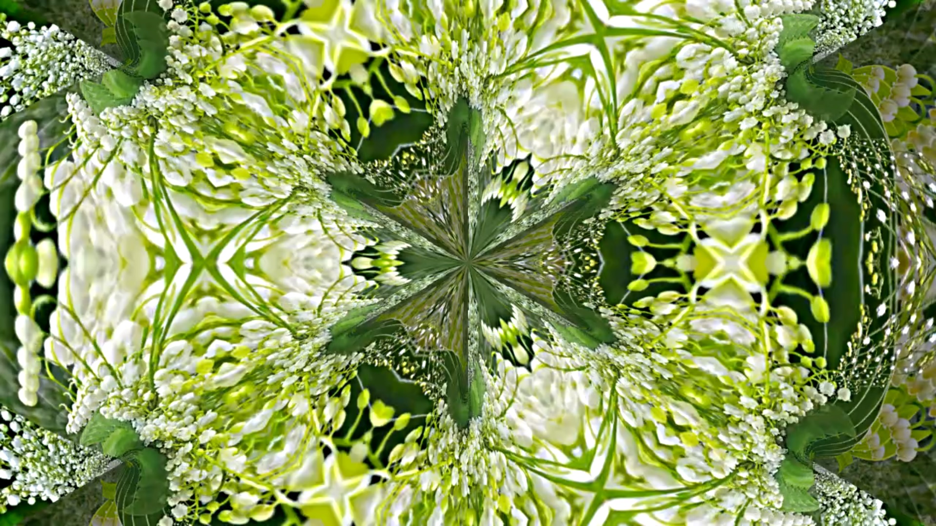 Футажи! Комплект Футажей Весенняя Ландышевая Сказка 4 от Киностудии Мудрого Кота Тимофея!