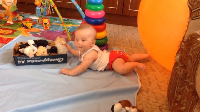 Алиса разглядывает собачки