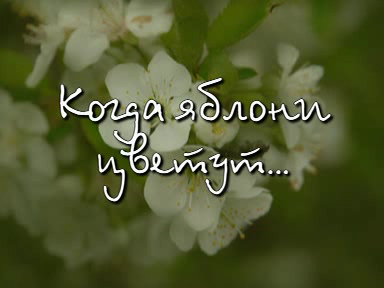 Когда яблони цветут...