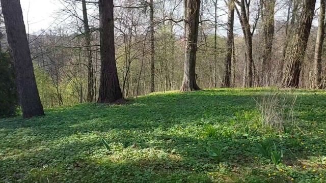 Усадьба Ленинские горки