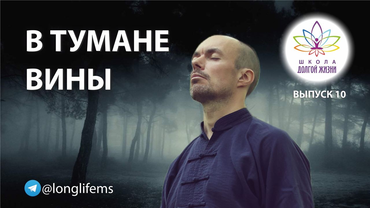 Вариации чувства вины. Выпуск 10. Школа Долгой Жизни Михаила Советова