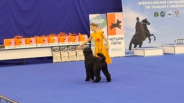Чемпионат РКФ.Чемпионат Санкт-Петербурга.Всероссийские соревнования по танцам с собаками.