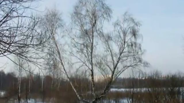 Новый год в Косино -2013- New Year in Koshino -2013-