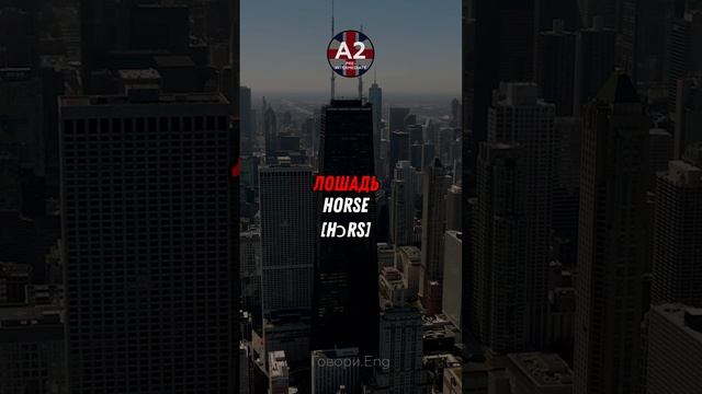 Учим 5 английских слов в день.