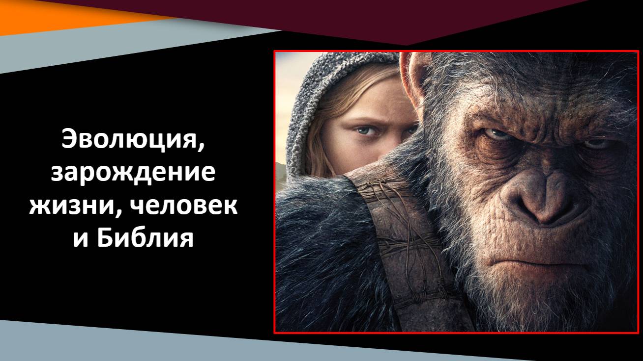 Теория эволюции