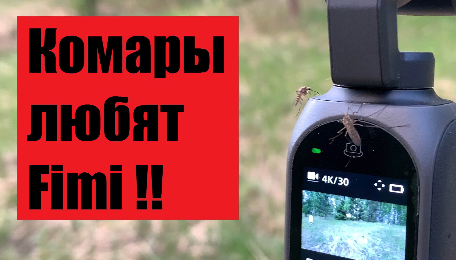 Атака комаров на Fimi Palm 2