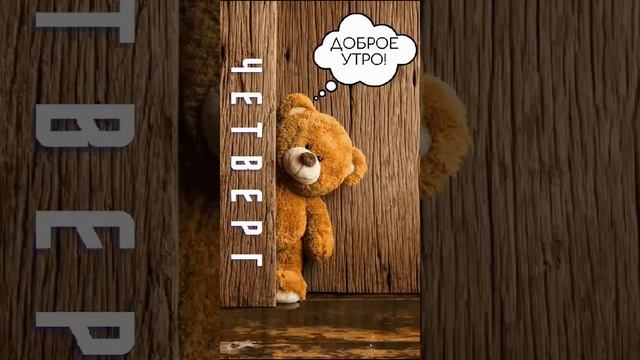 VID-20231026-WA0000.mp4