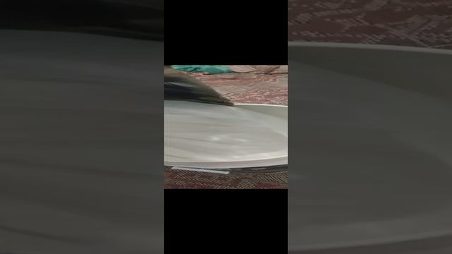 Малёк нильской тиляпии(тилапии)