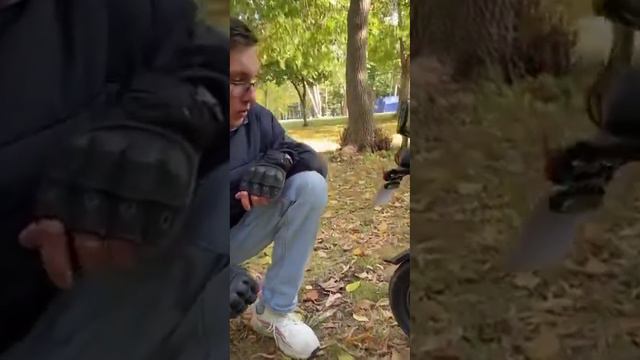 Обзор на WHITE SIBERIA LIGHT 1200W