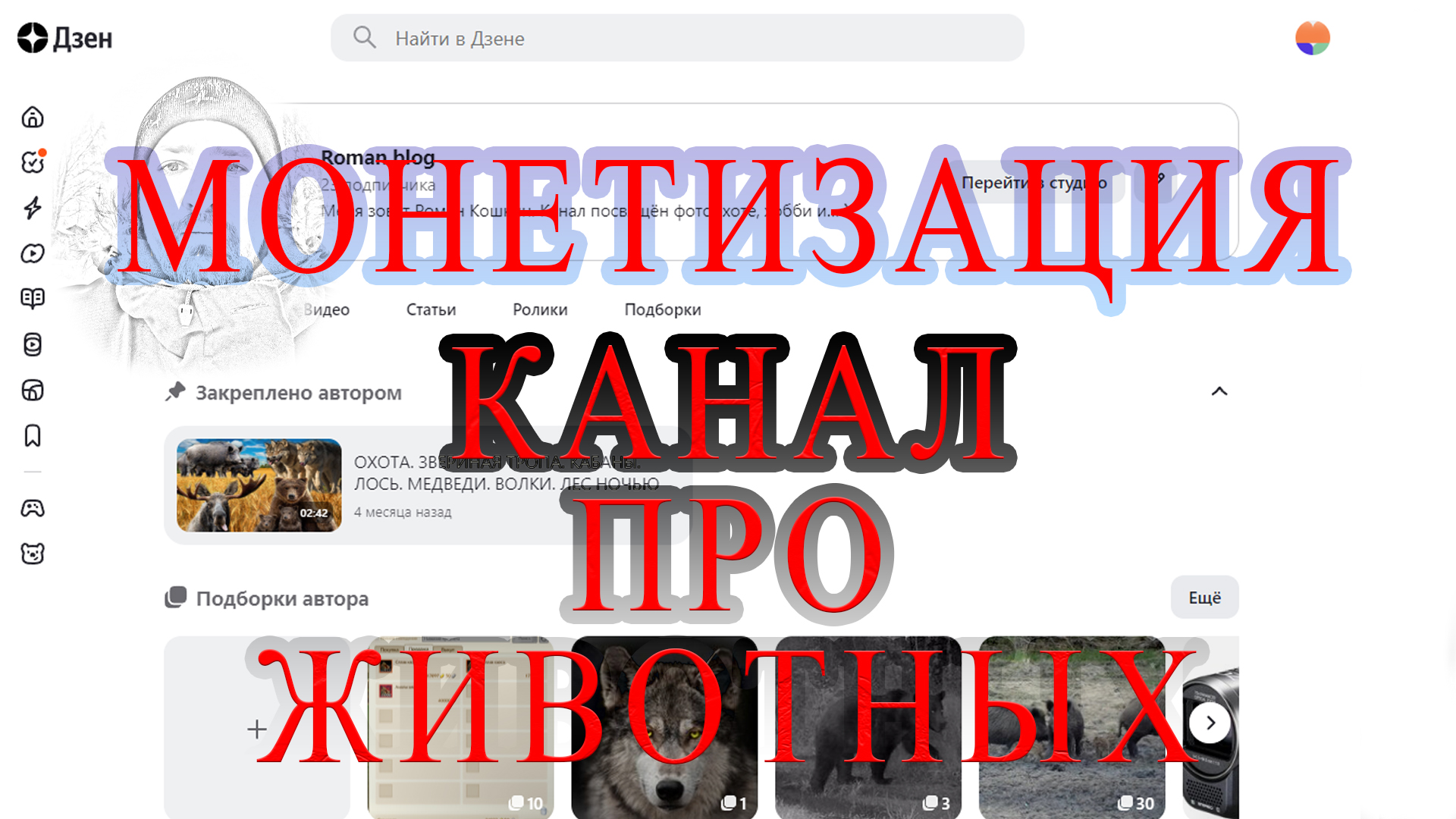 Подключение и статистика монетизации за 14 дней. Канала про животных России