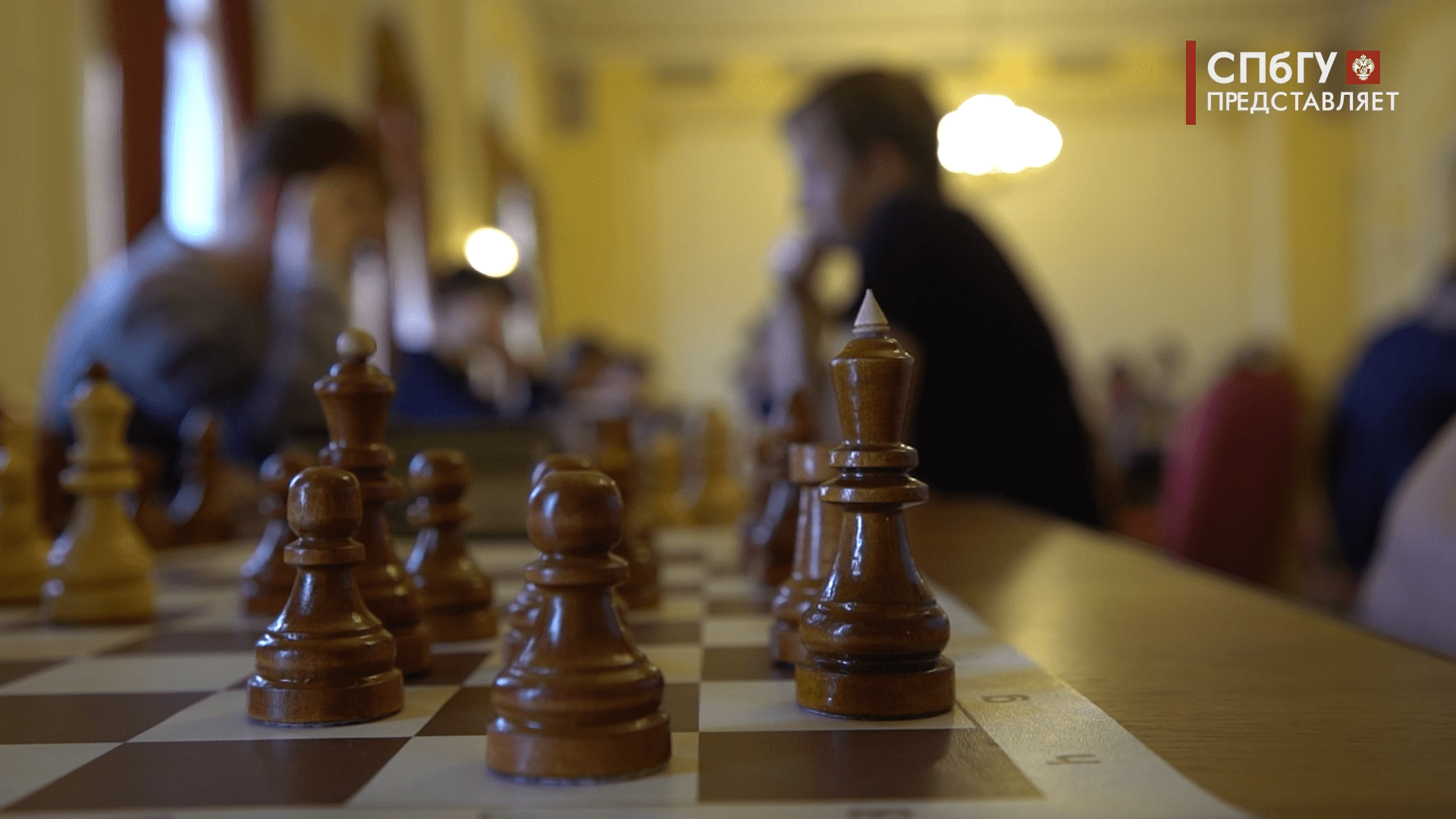 Новости СПбГУ: Кубок Спасского 2024