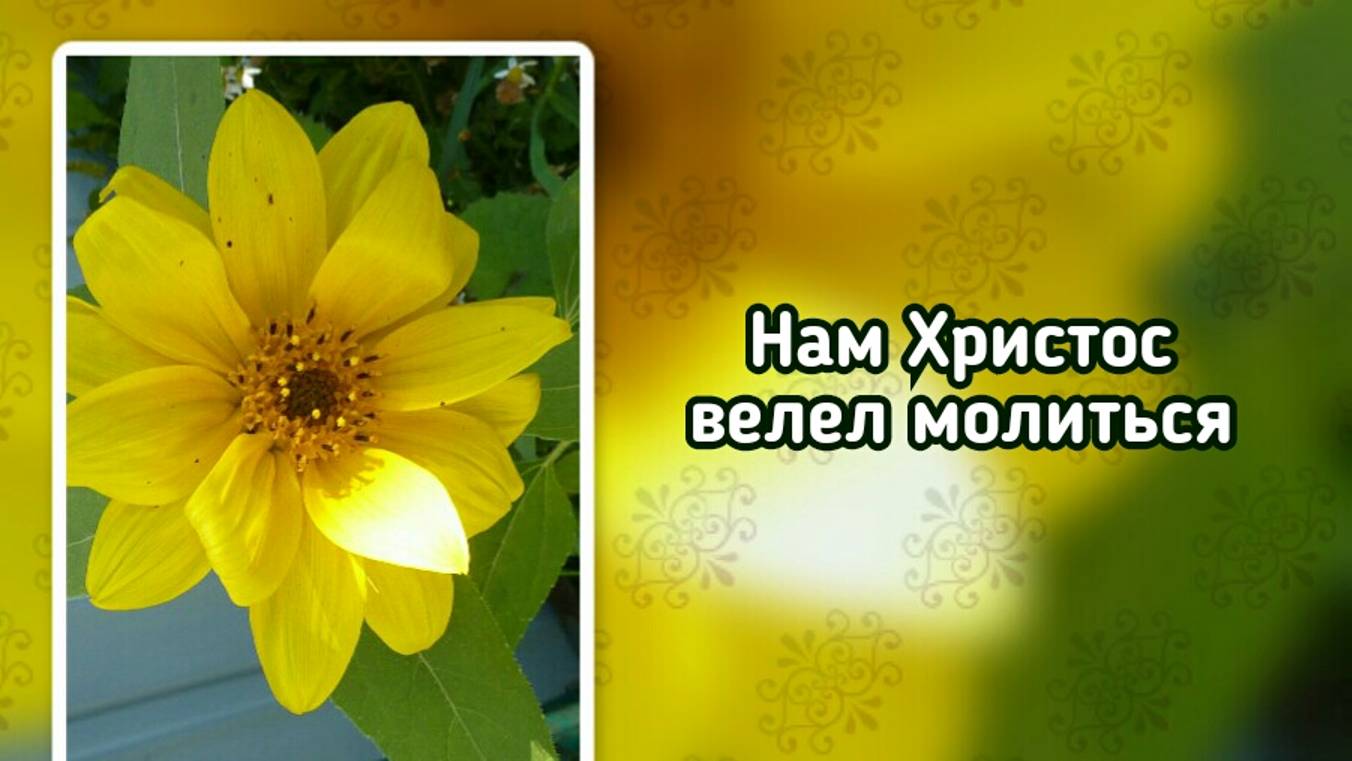 Нам Христос велел молиться (+)