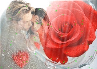 МОЯ ЛЮБОВЬ (NINO)