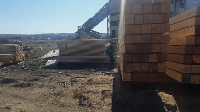 Фумигация древесины Защита древесины от насекомых-вредителей