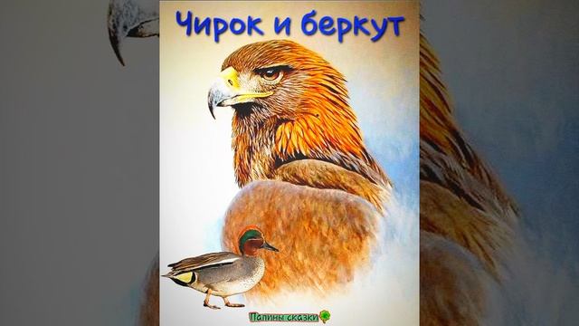 Чирок и беркут (якутская народная сказка)
